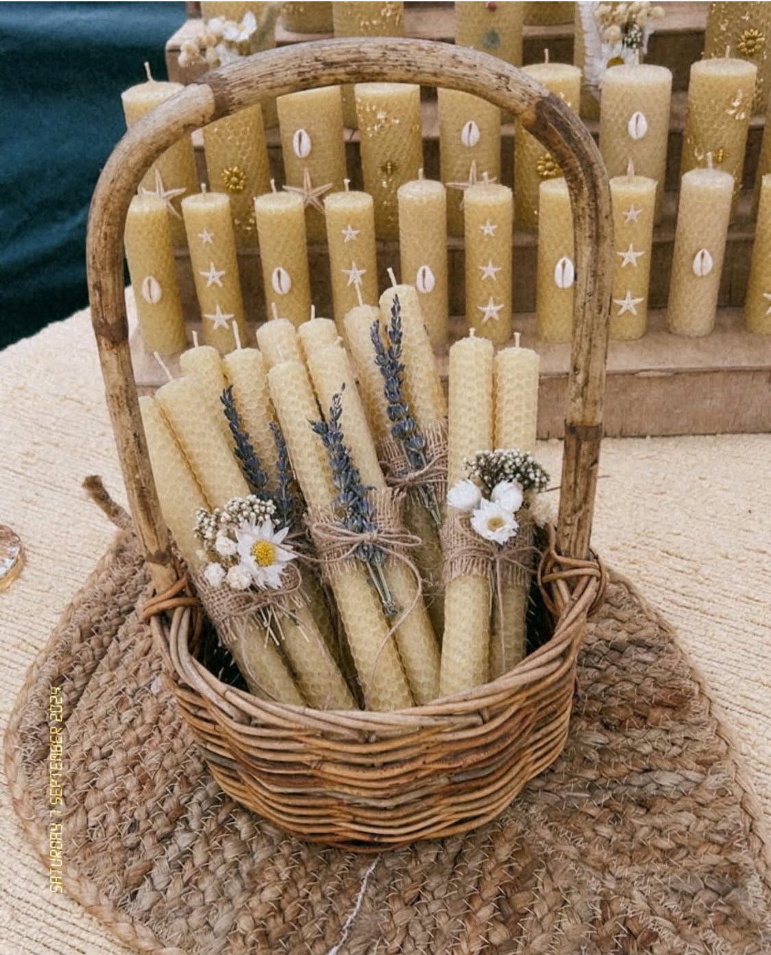 Seabee Taper Pair – The House of Four Fish